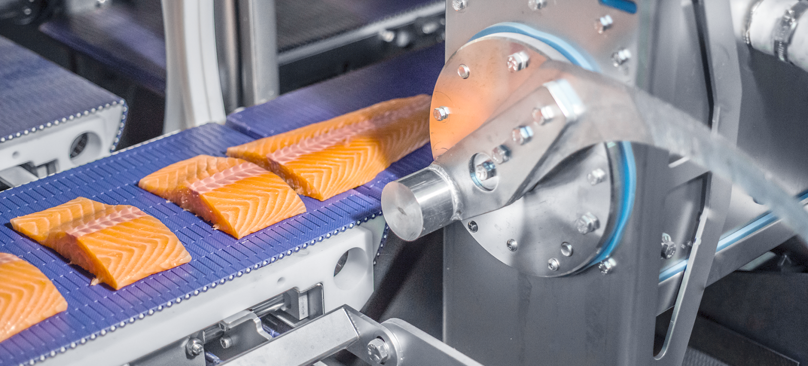 Marelec Portioning Machines - Jansen Techniek Putten B.V.